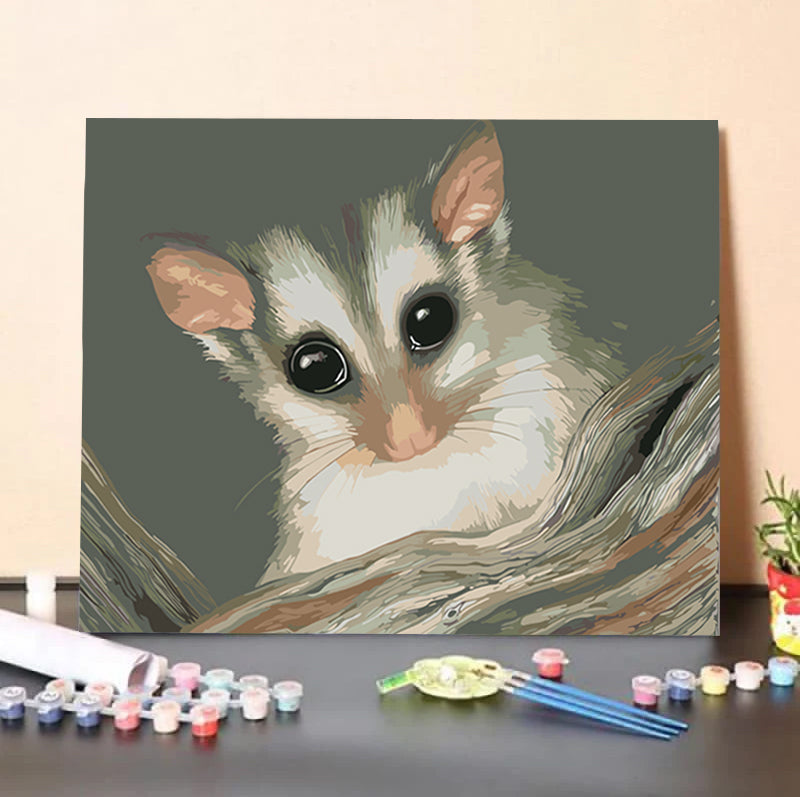 Pygmy Possum – Australia Paint By Numbers