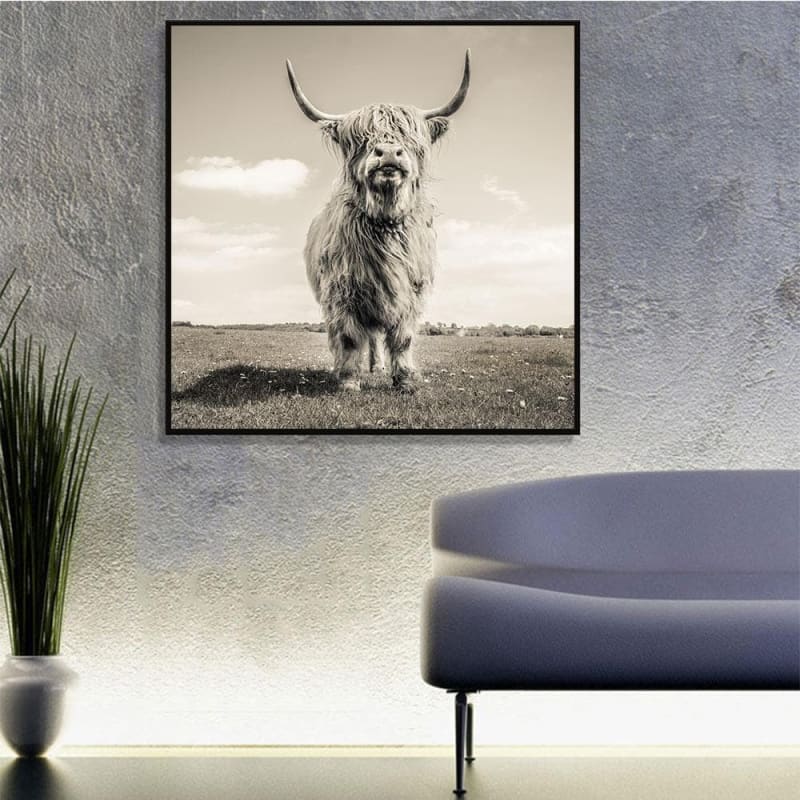 Animal Bull Diy Paint By Numbers Kits VM30139 – Australia Paint By Numbers