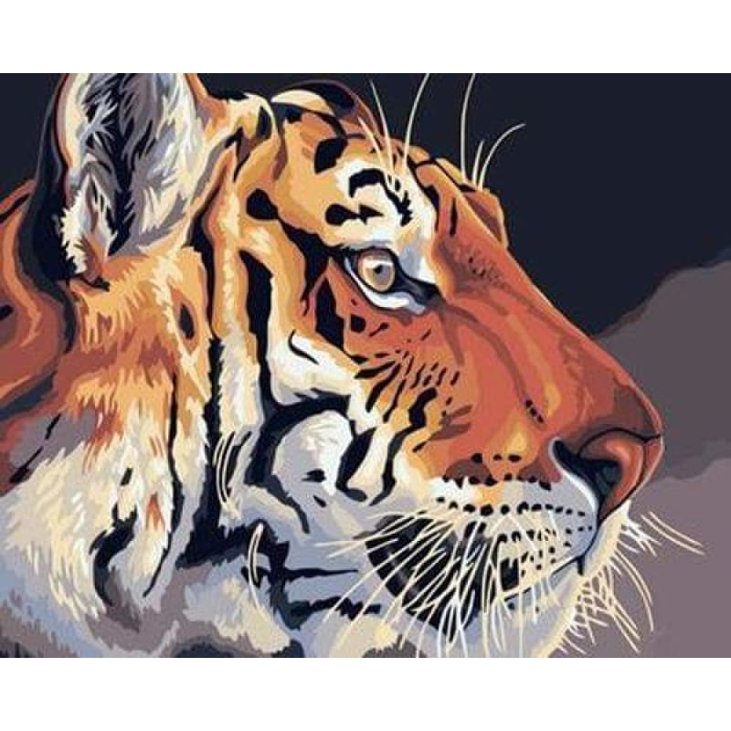 Animal Tiger Diy Paint By Numbers Kits ZXB180 – Australia Paint By Numbers