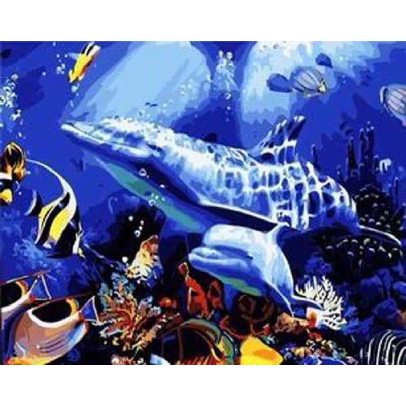 Dolphin Diy Paint By Numbers Kits ZXZ-040 – Australia Paint By Numbers