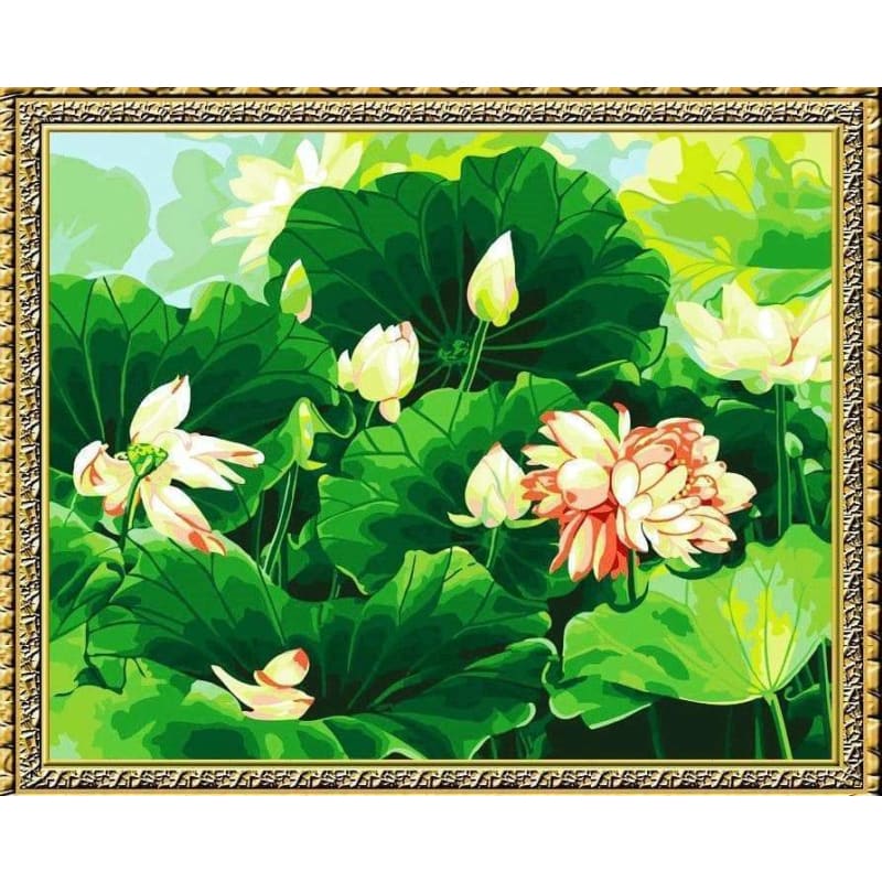 Lotus Diy Paint By Numbers Kits YM-4050-088 – Australia Paint By Numbers