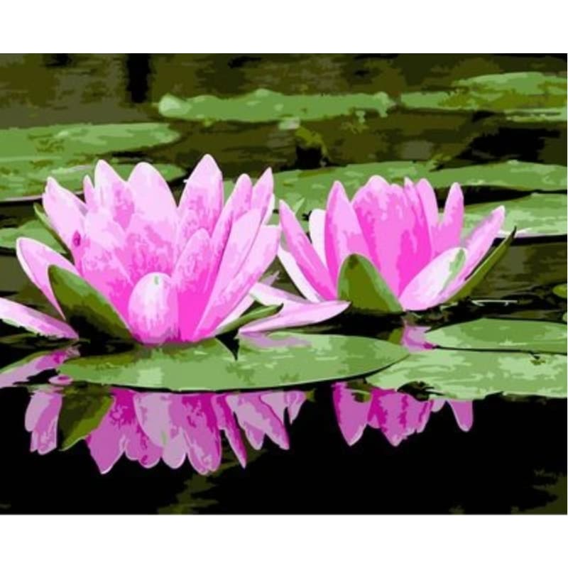 Lotus Diy Paint By Numbers Kits ZXAN1430 – Australia Paint By Numbers