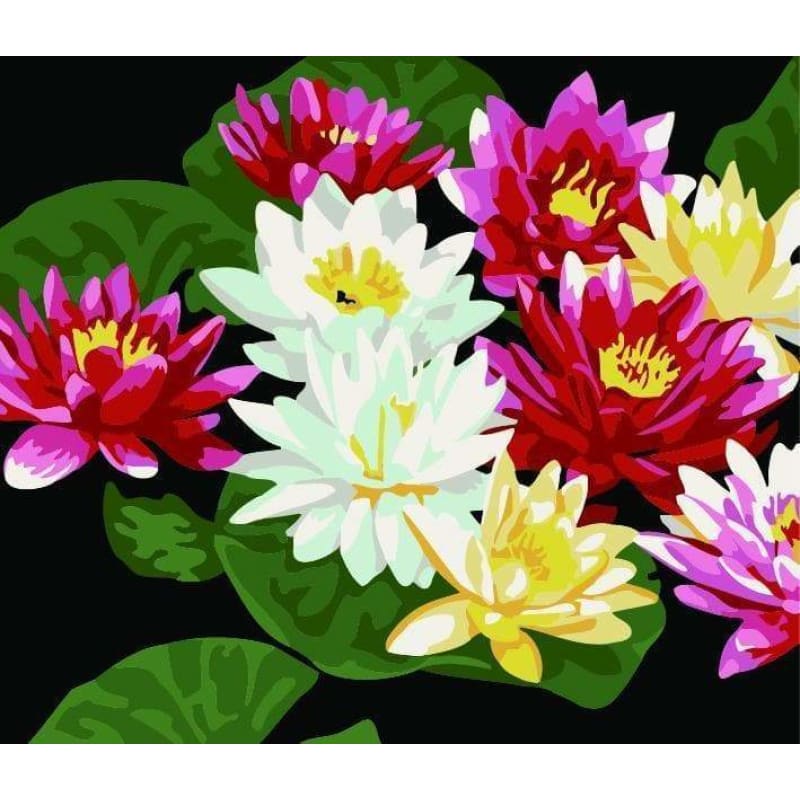 Lotus Diy Paint By Numbers Kits ZXE395 – Australia Paint By Numbers