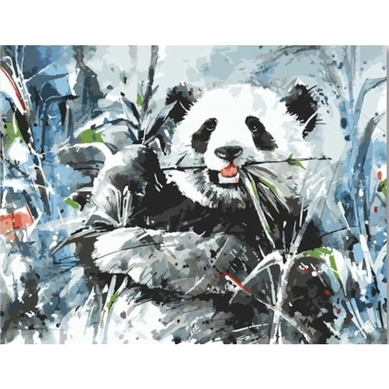 Pandas Diy Paint By Numbers Kits PBN91214 – Australia Paint By Numbers