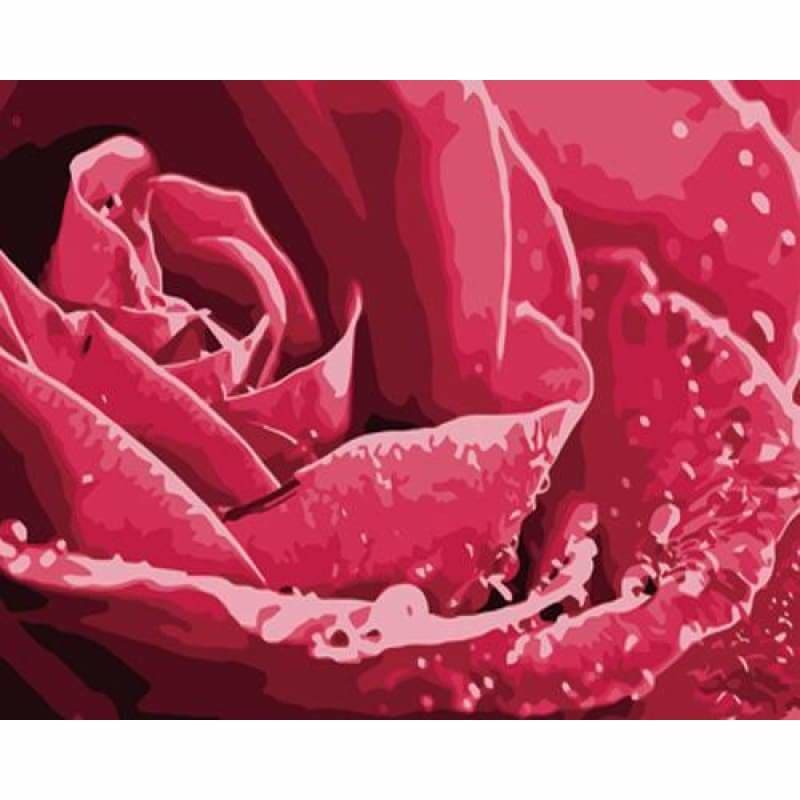 Plant Rose Diy Paint By Numbers Kits ZXZ-014 – Australia Paint By Numbers